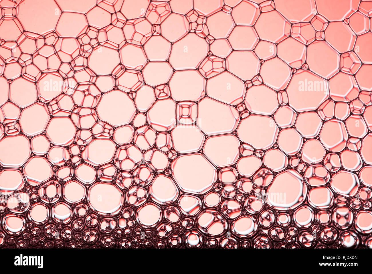 Geometric cells formed by soap bubbles and water, for background or ...