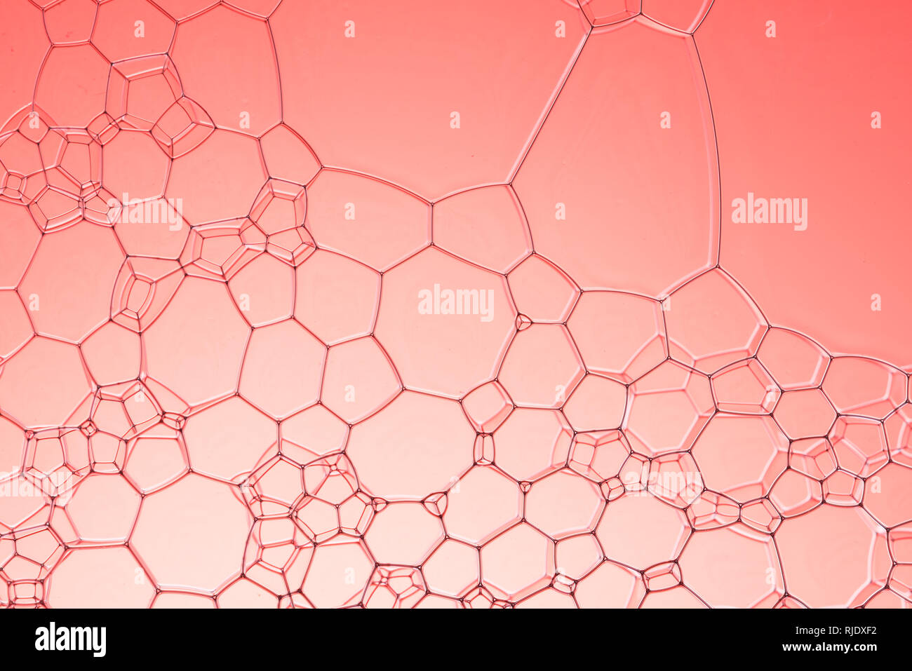 Geometric cells formed by soap bubbles and water, for background or ...