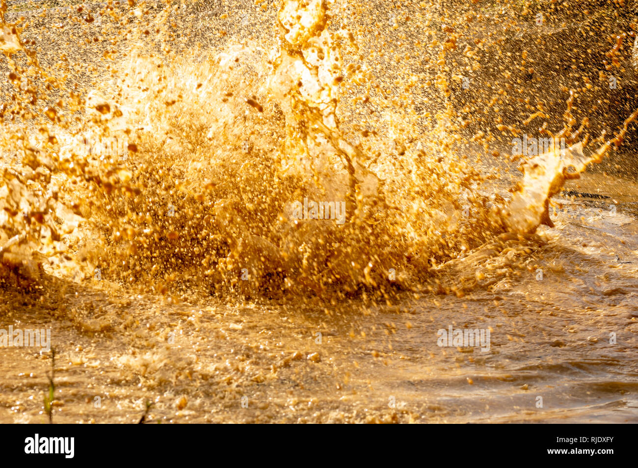Details of water drops and mud from a splash in a puddle in an obstacle ...