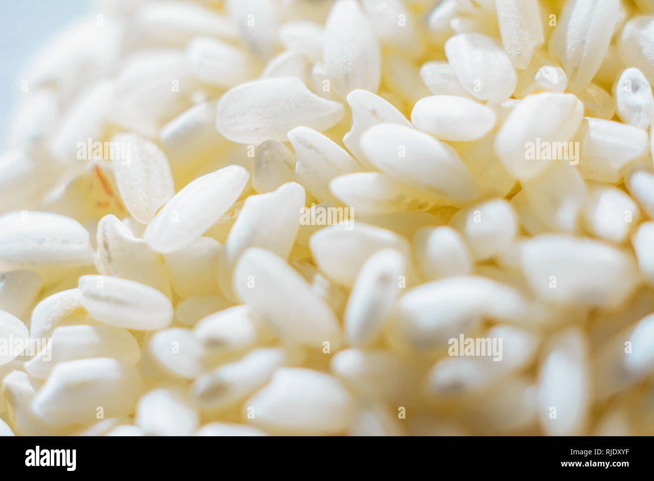 White round rice is removed macro, texture 2019 Stock Photo - Alamy