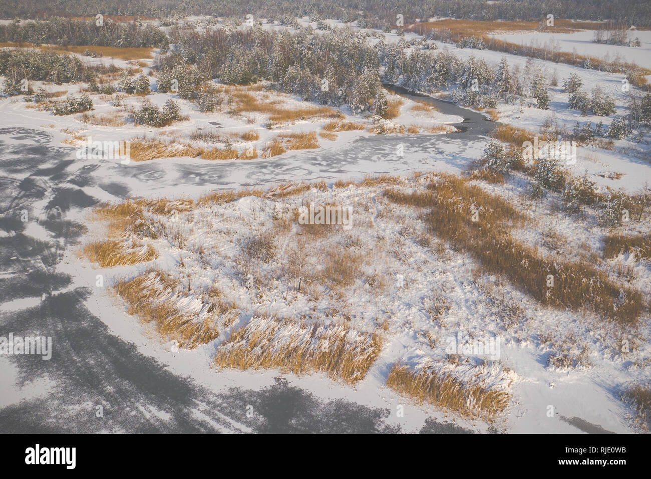 Aerial view of the winter snow covered forest and frozen lake from ...