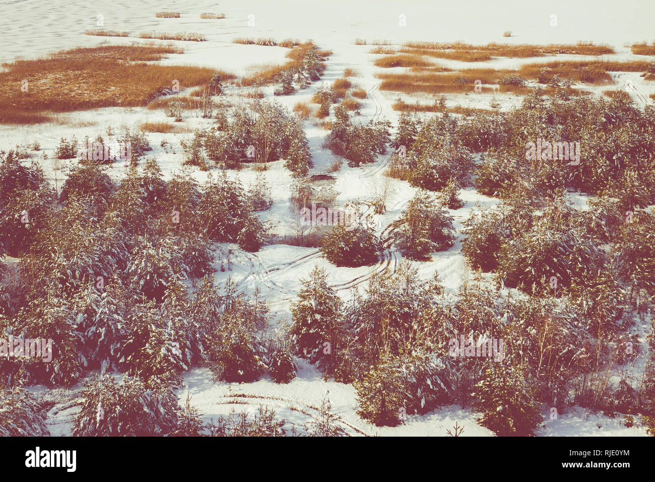 Aerial view of the winter snow covered forest and frozen lake from ...