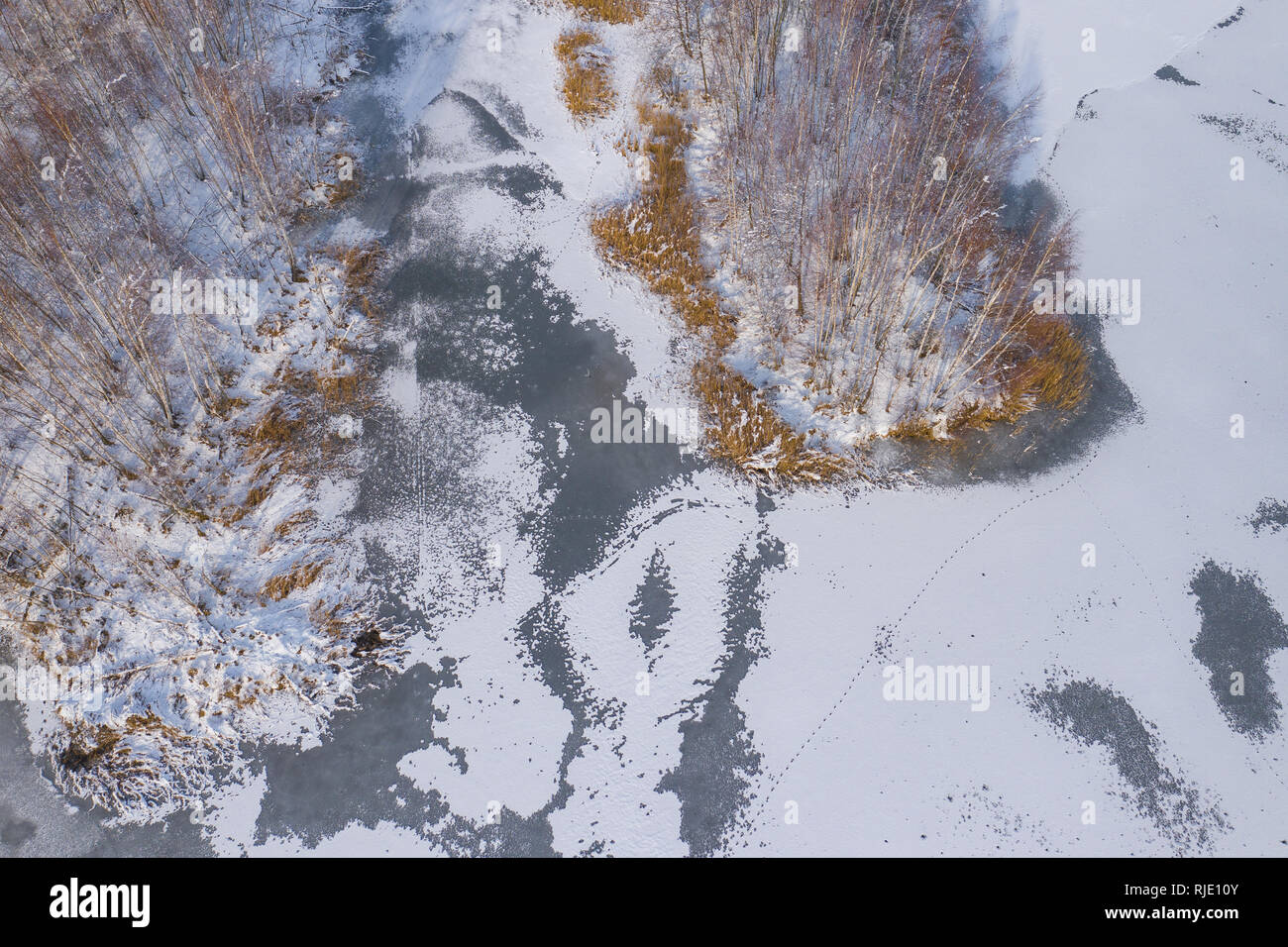Aerial view of the winter snow covered forest and frozen lake from ...