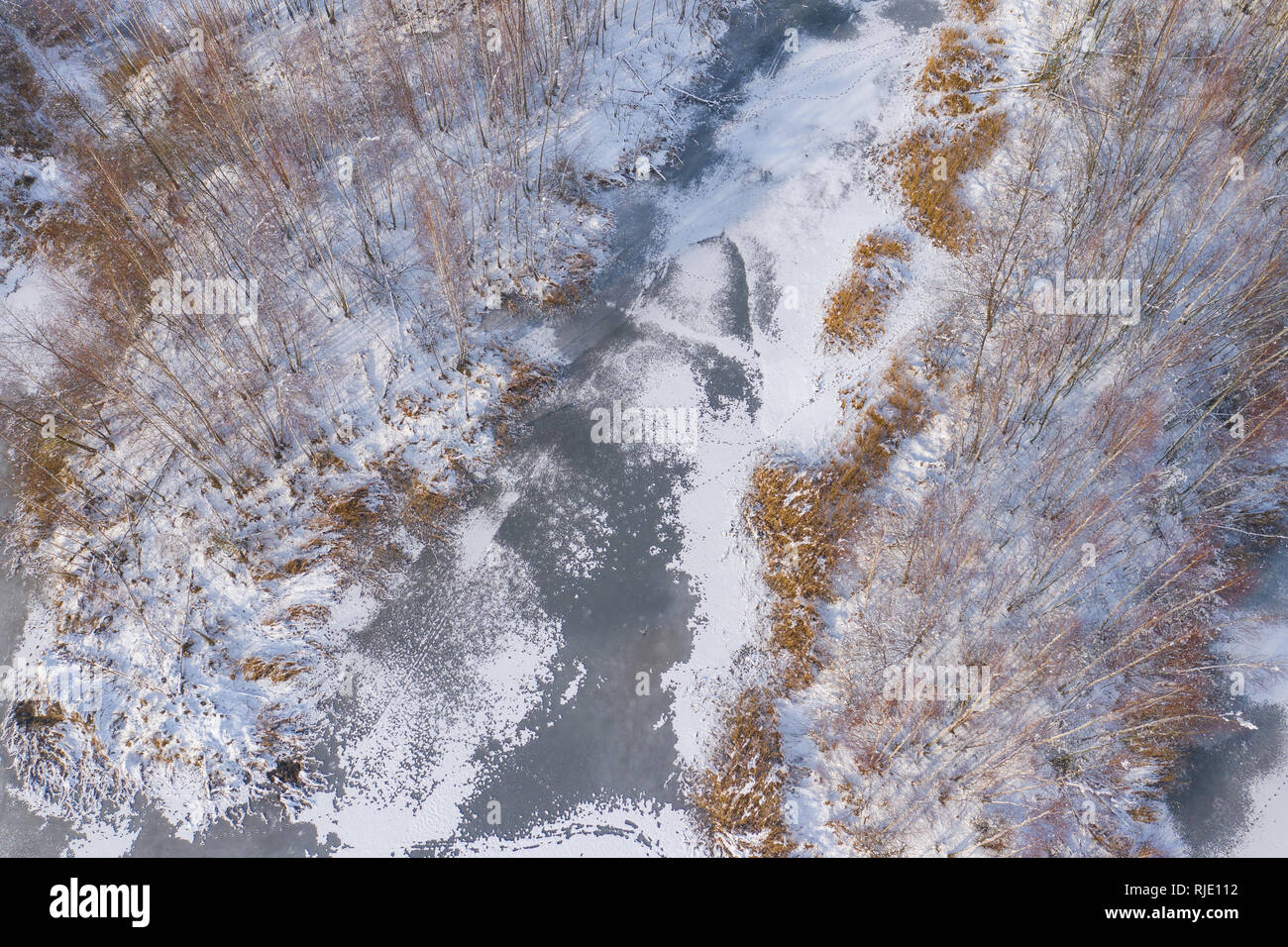 Aerial view of the winter snow covered forest and frozen lake from ...