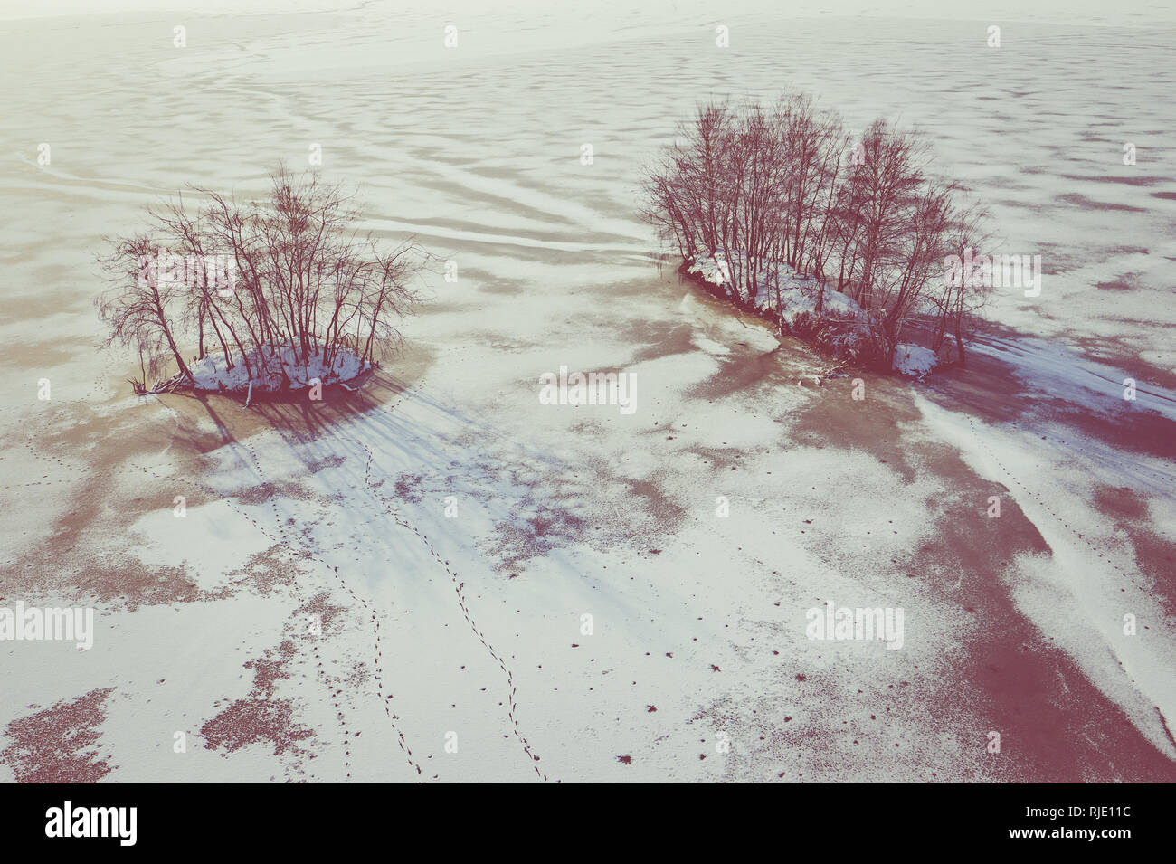 Aerial view of the winter snow covered forest and frozen lake from ...
