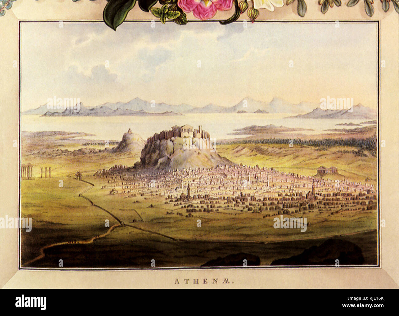 Athena athena hi-res stock photography and images - Alamy