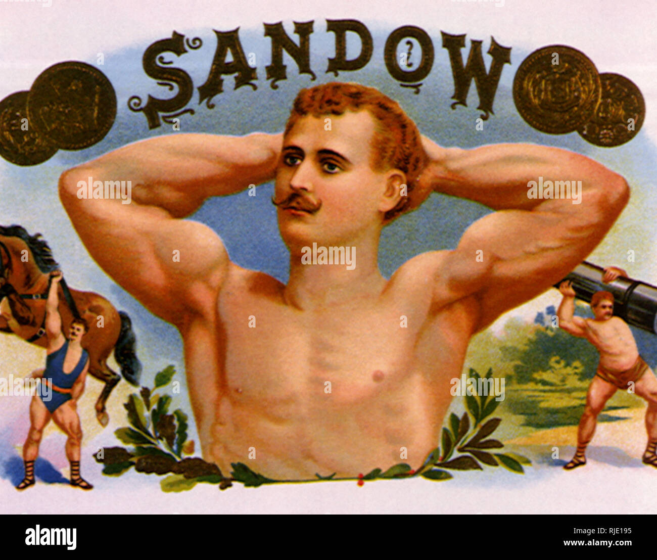 Sandow hi-res stock photography and images - Alamy