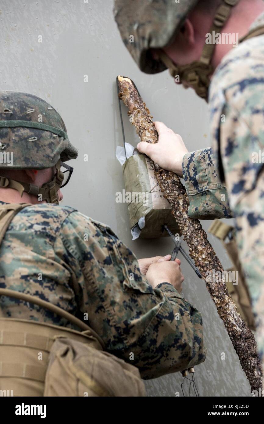 U.S. Marine Corps Infantry Assault Marines with 3rd Battalion, 8th ...