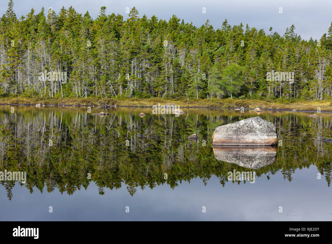 Shoal pond trail hi-res stock photography and images - Alamy