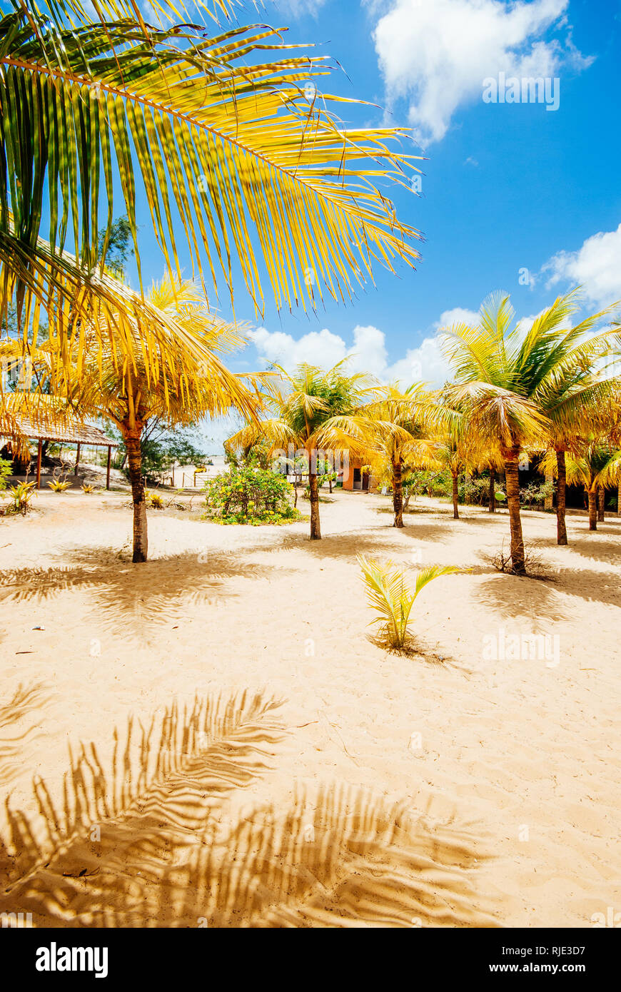 Amazing view of Coroa Vermelha beach in Porto Seguro in Brazil Stock ...