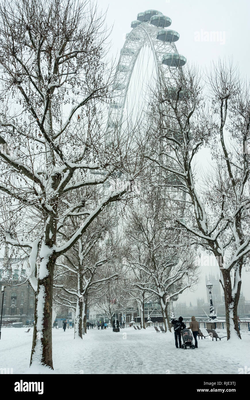 Scenic view of the London Eye ferris wheel and surrounding trees ...