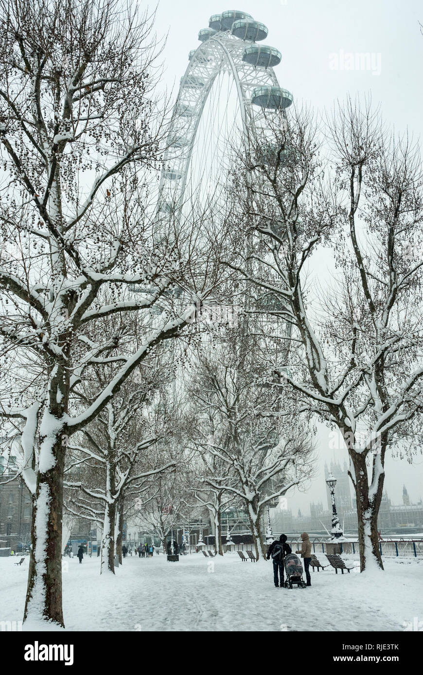 Scenic view of the London Eye ferris wheel and surrounding trees ...