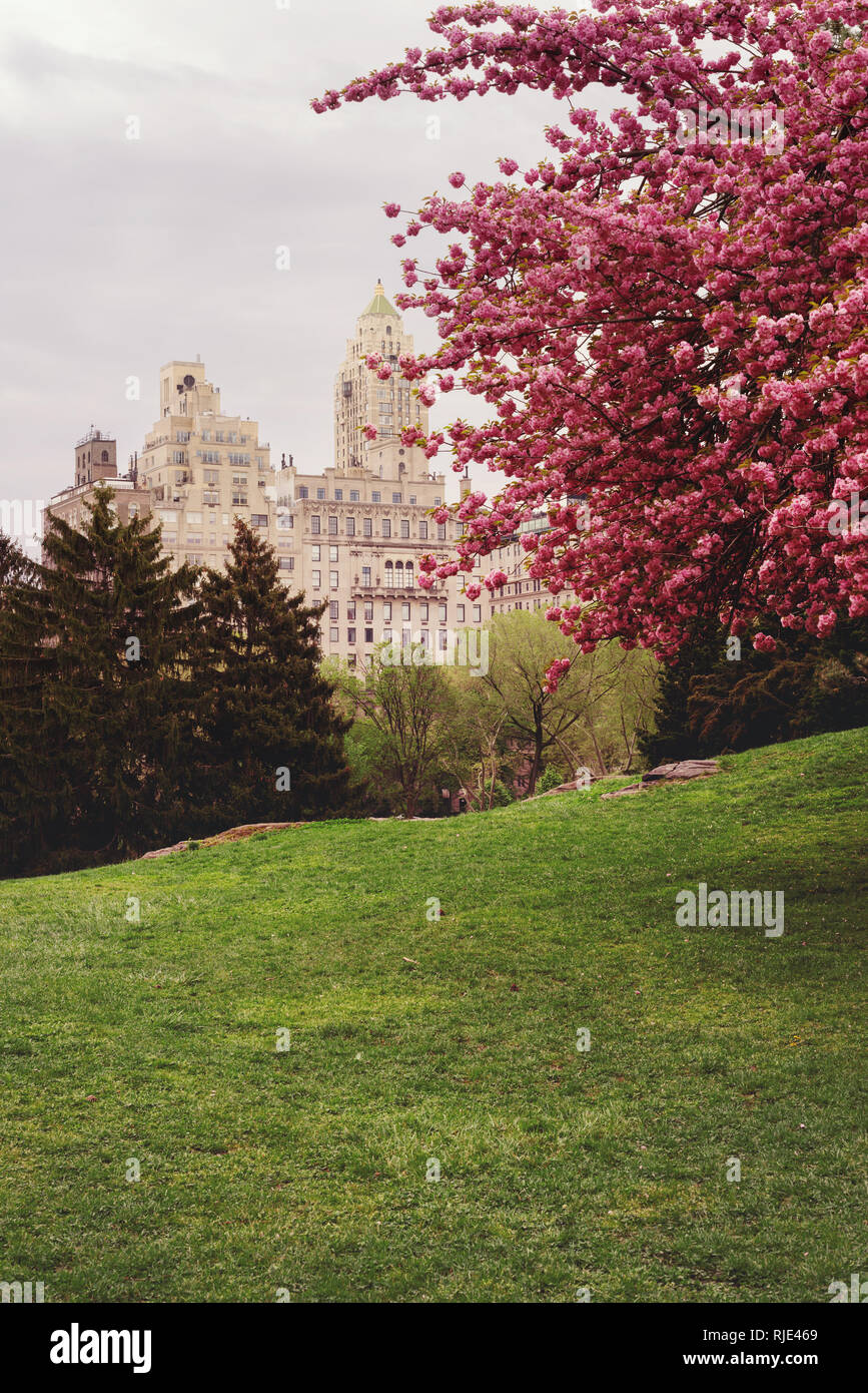Central Park scenes in spring Stock Photo - Alamy