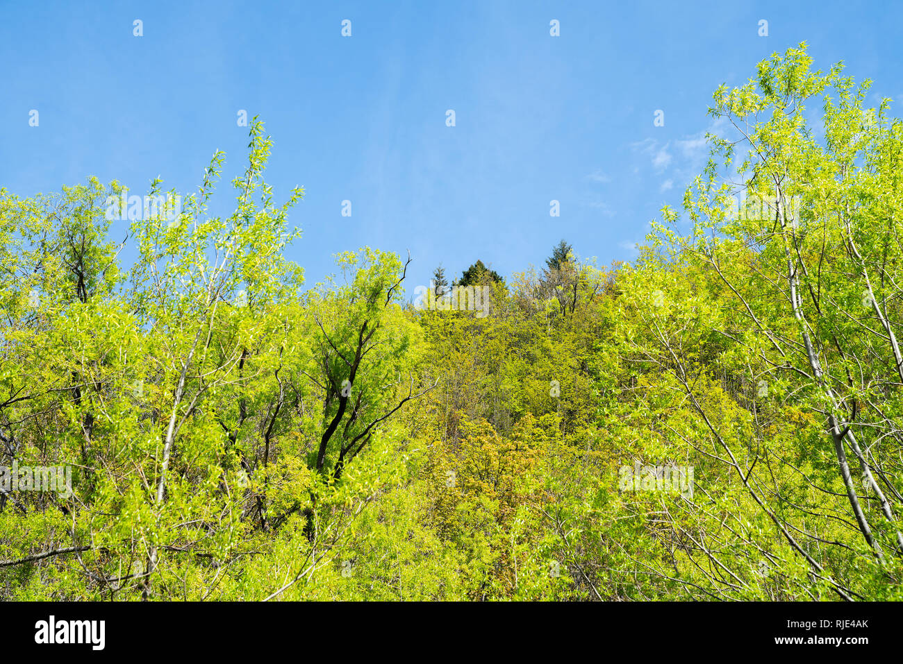 Layers of colors hi-res stock photography and images - Alamy