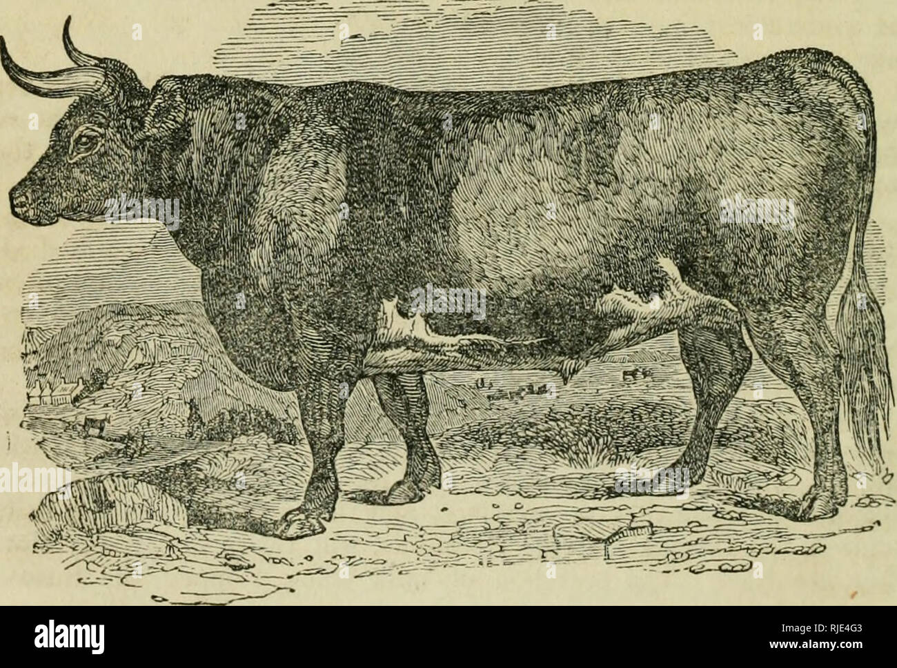 From monmouth in wales hi-res stock photography and images - Alamy