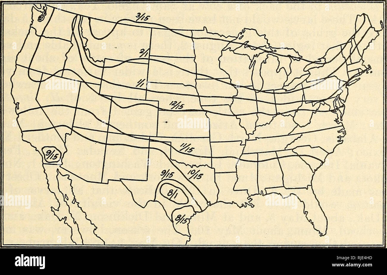 Warble flies hi-res stock photography and images - Alamy