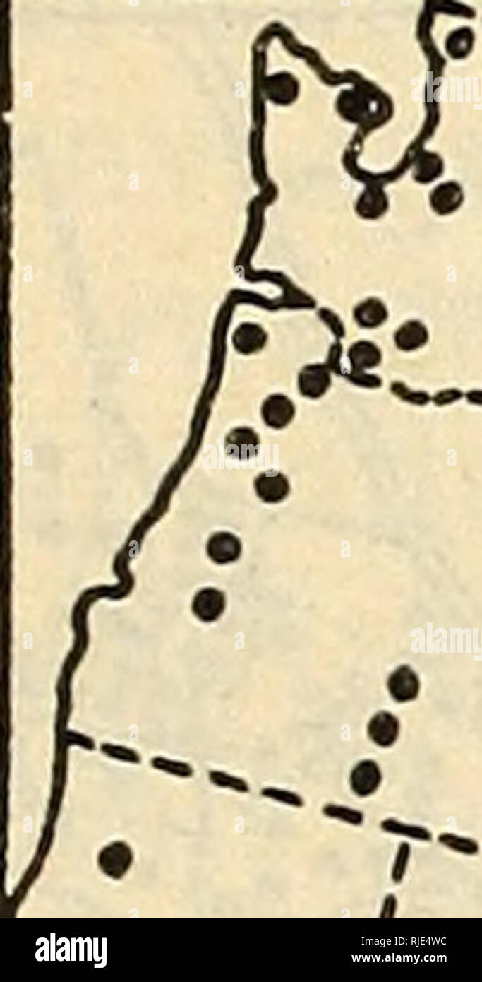 . The Cattle grubs or ox warbles, their biologies and suggestions for ...