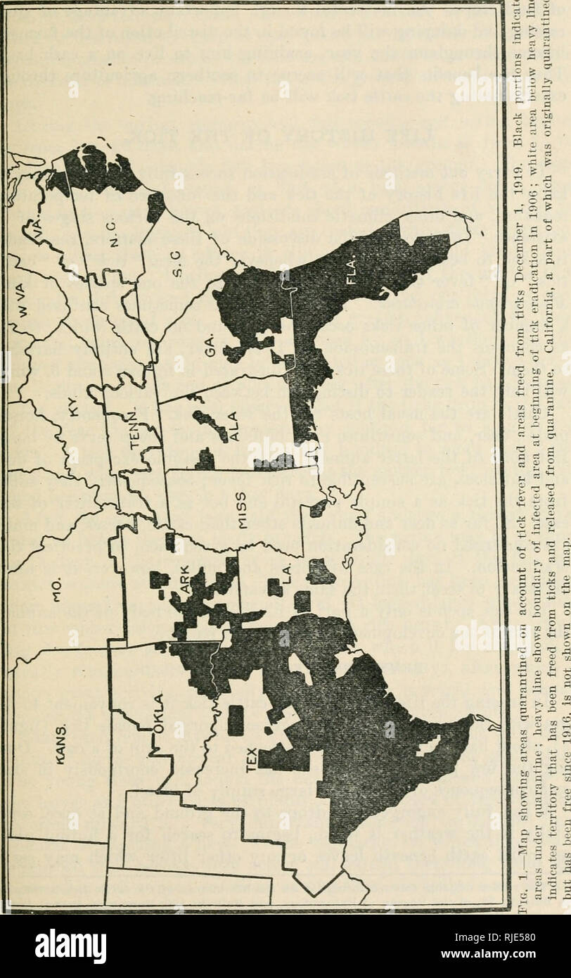 Cattle dip for tick control hi-res stock photography and images - Alamy