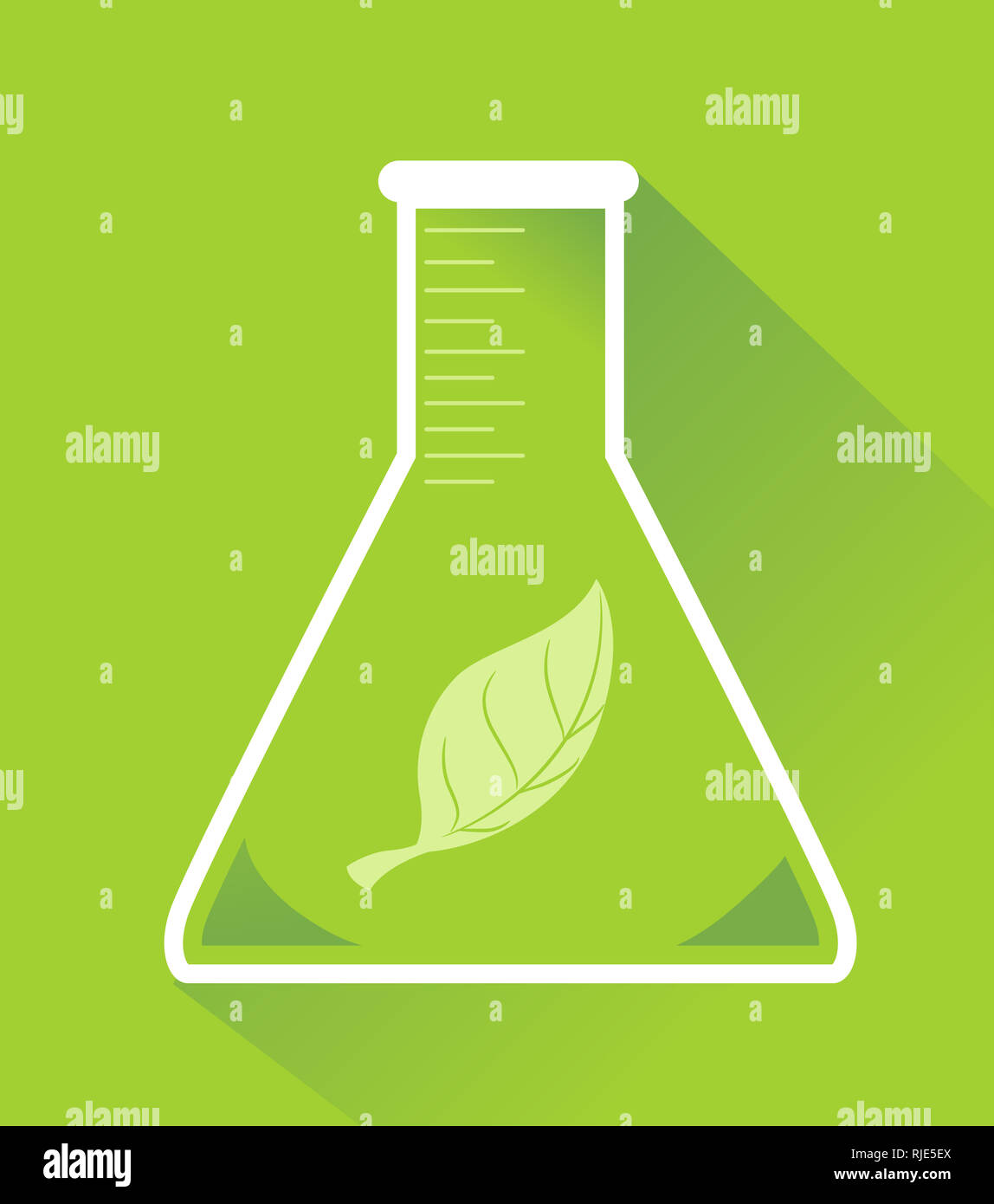 Illustration of a Conical Flask with a Single Green Leaf Inside. Botany ...