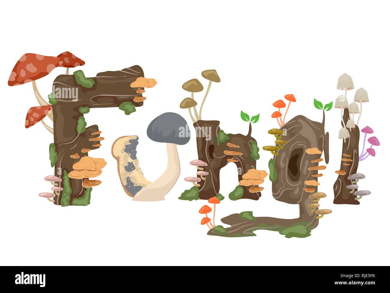 Illustration of Fungi Lettering with Mushrooms Stock Photo - Alamy