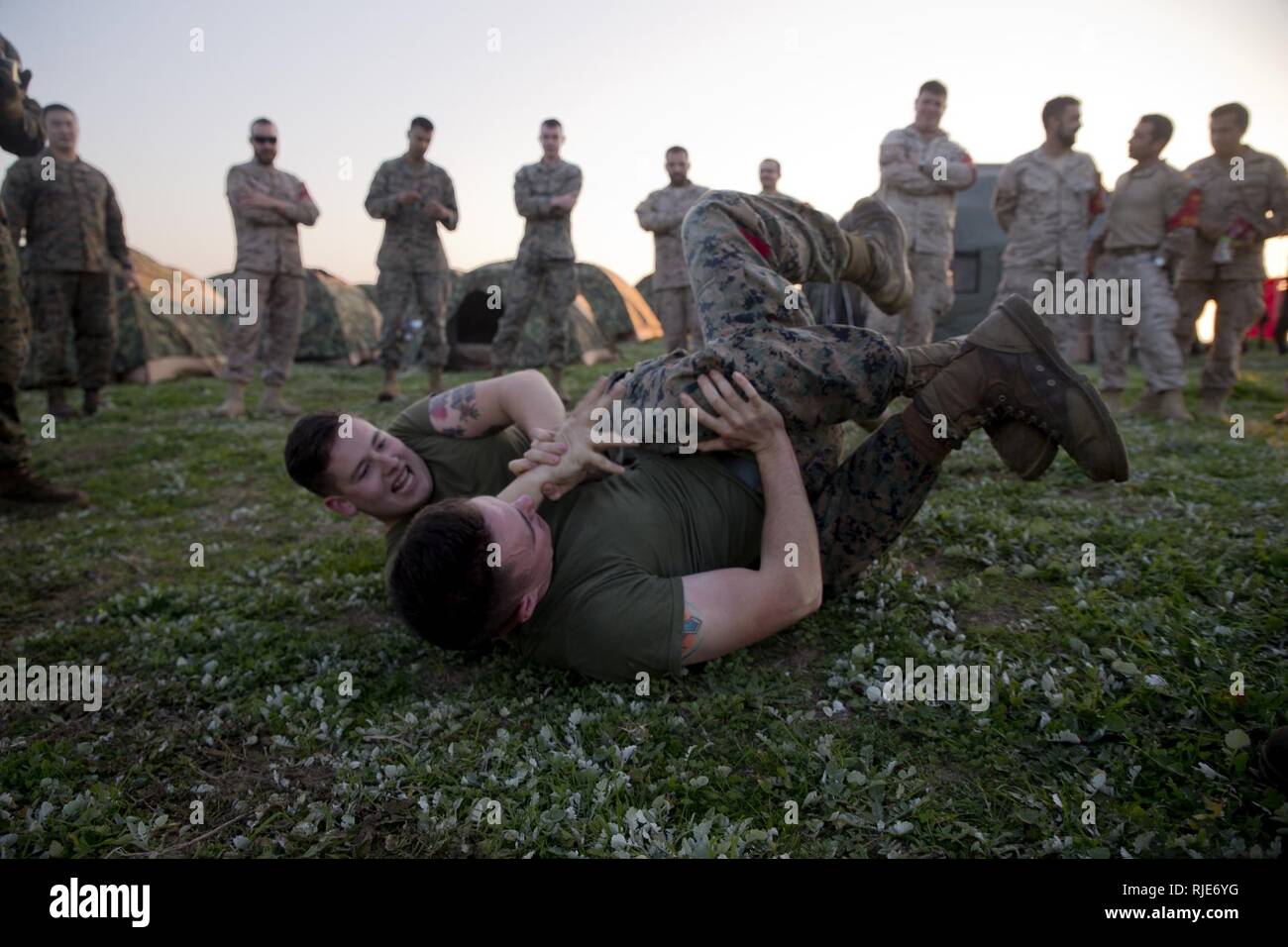 Spanish special forces command hi-res stock photography and images - Alamy
