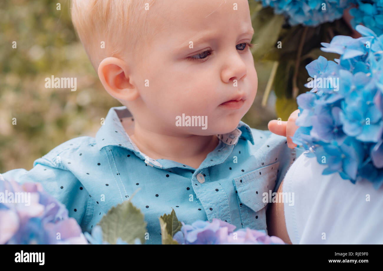 Spring flowers. Childhood. Little boy at blooming flower. Summer ...