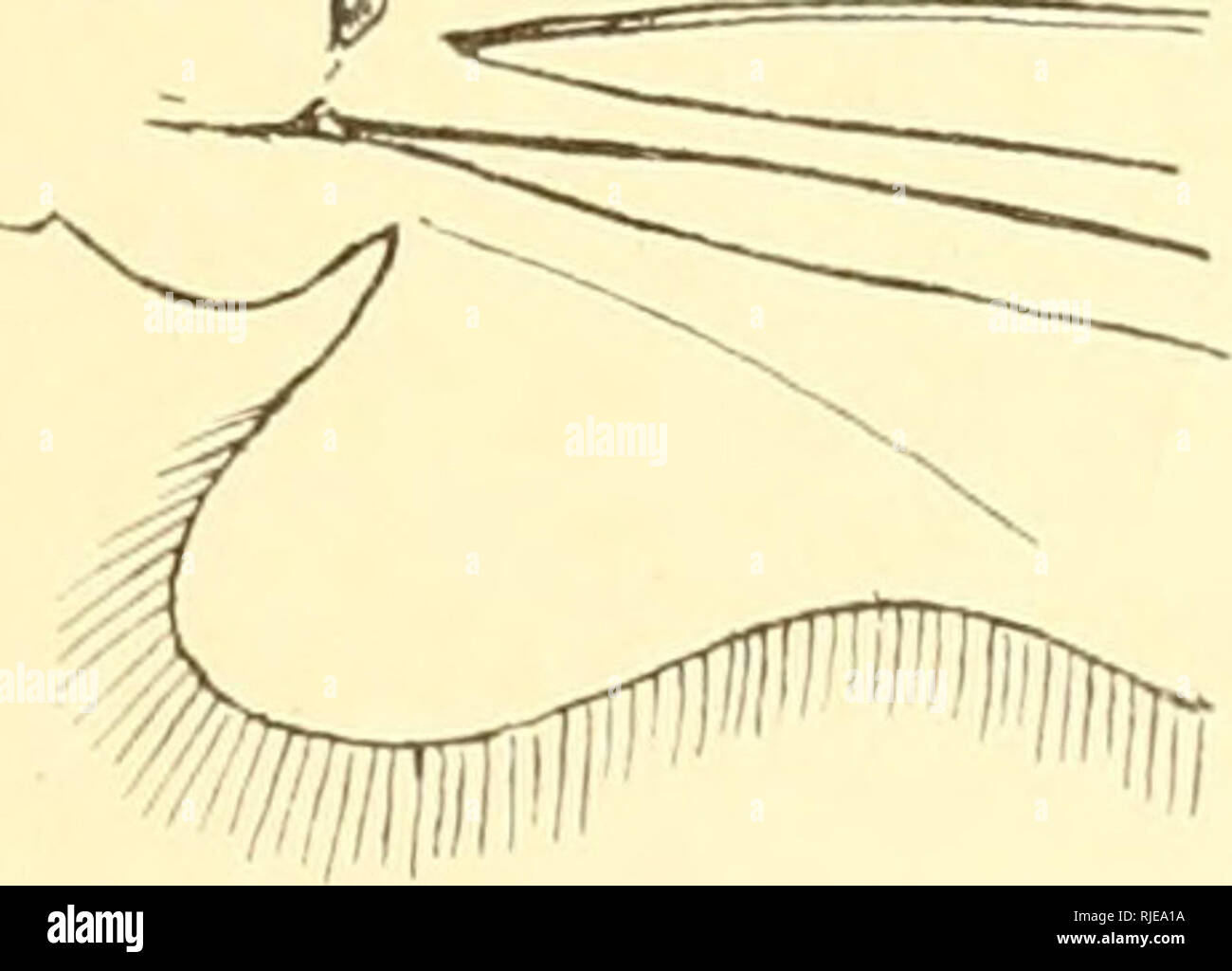 Le luart hi-res stock photography and images - Alamy