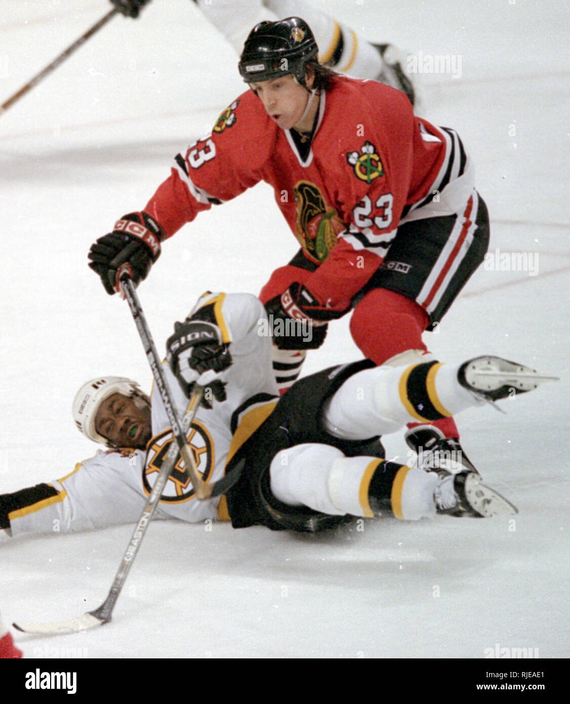 Boston bruins anson carter photos hi-res stock photography and images ...