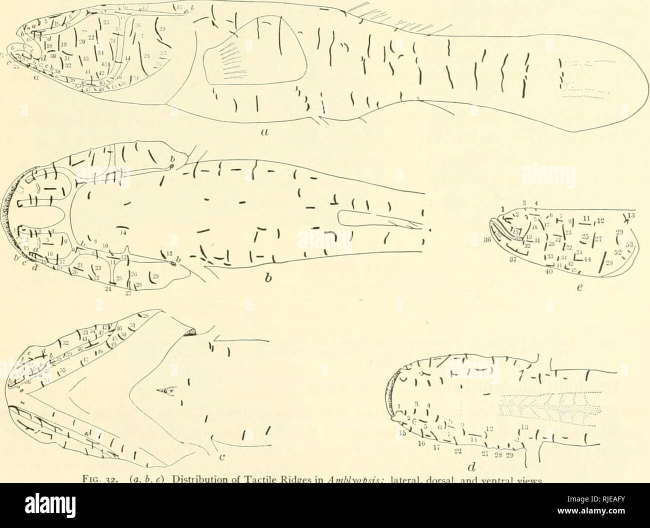 Tactile comparison hi-res stock photography and images - Alamy