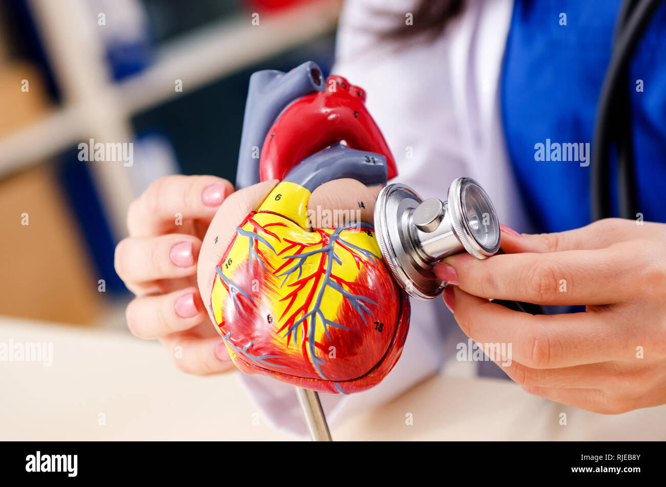 Female doctor cardiologist working in the clinic Stock Photo - Alamy