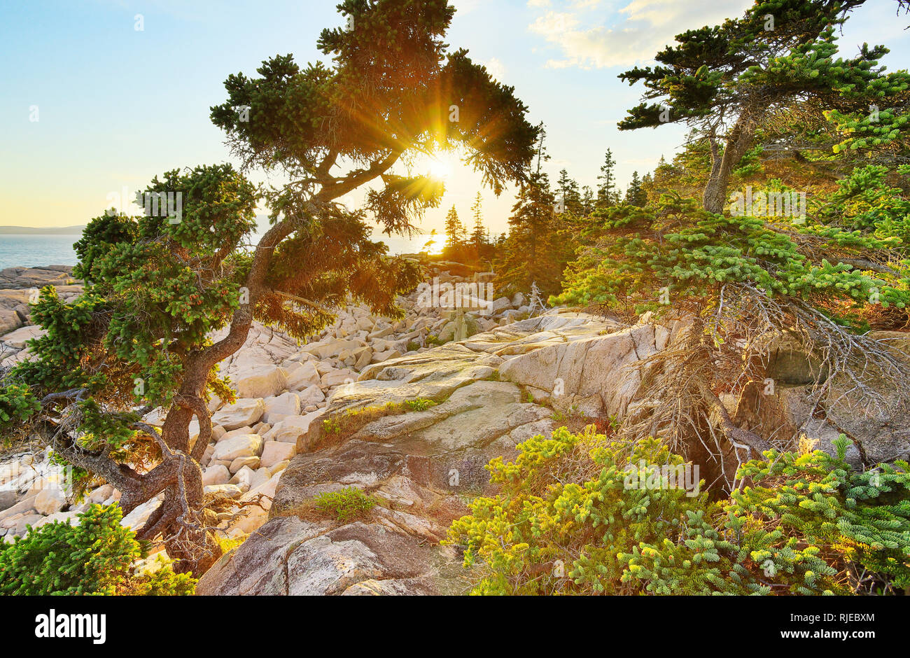 Schoodic peninsula sunset hi-res stock photography and images - Alamy