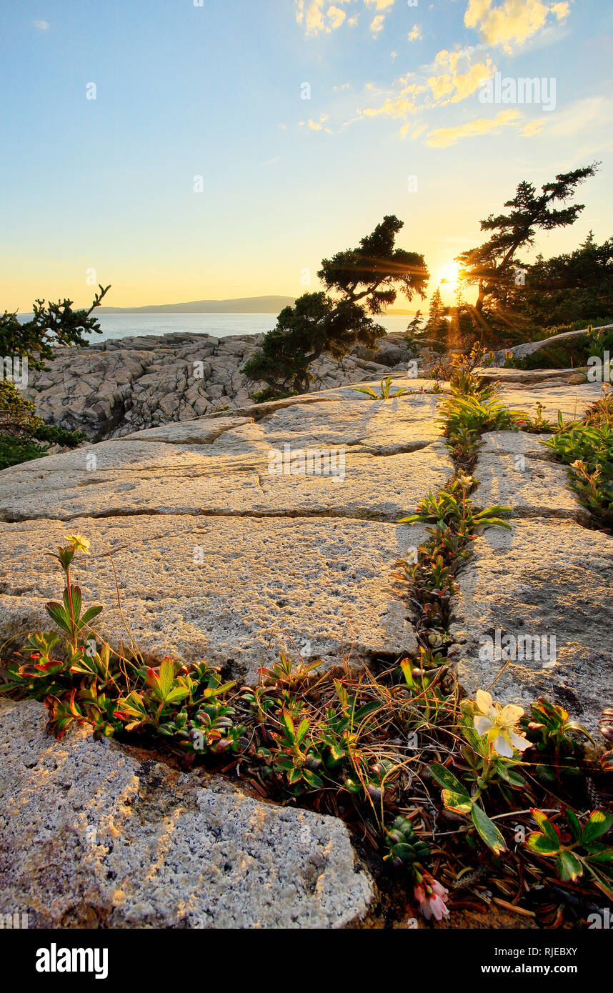 Schoodic Point, Schoodic Peninsula, Acadia National Park, Maine, USA ...