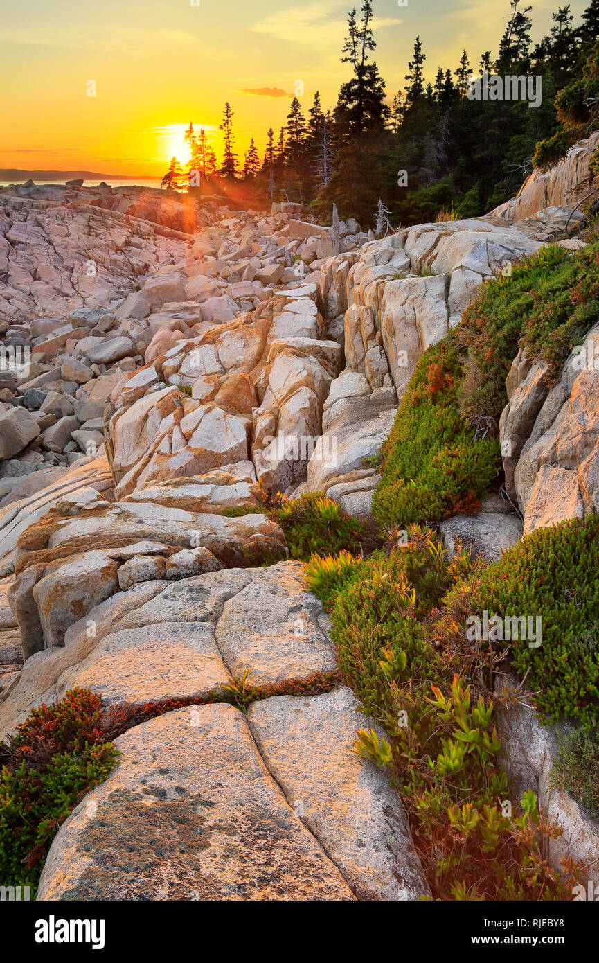 Schoodic Point, Schoodic Peninsula, Acadia National Park, Maine, USA ...