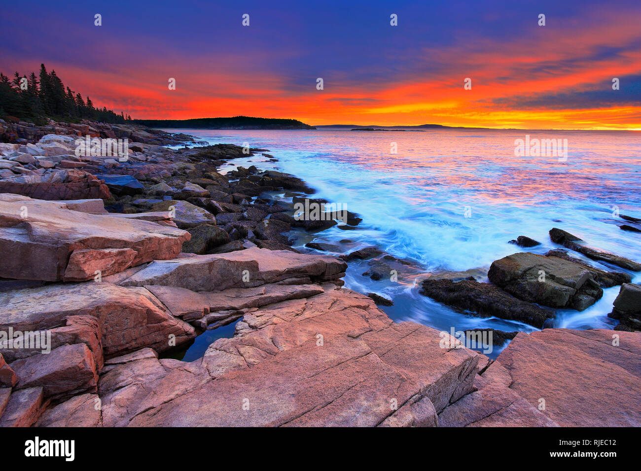Sunrise, The Ocean Path, Acadia National Park, Maine, USA Stock Photo ...