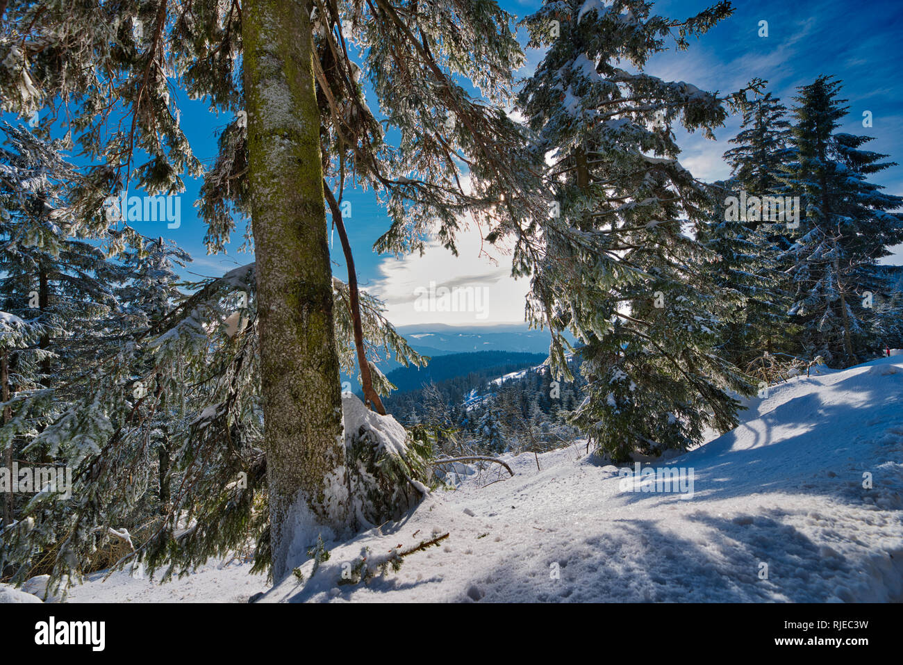 Winter Landscape Snow Mountain Frozen Lake Black Forest Germany Stock ...