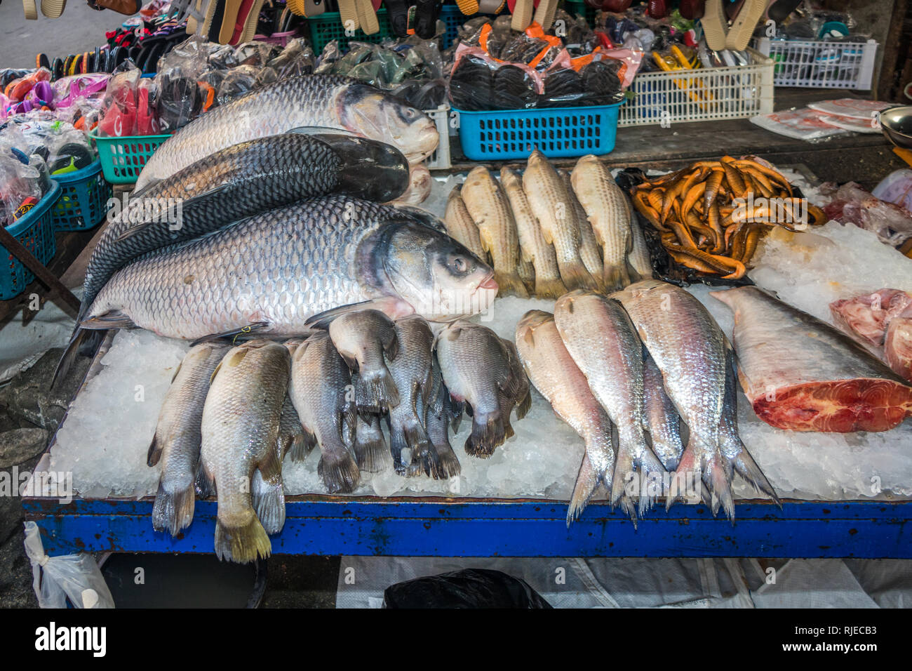 Fish sot hi-res stock photography and images - Alamy