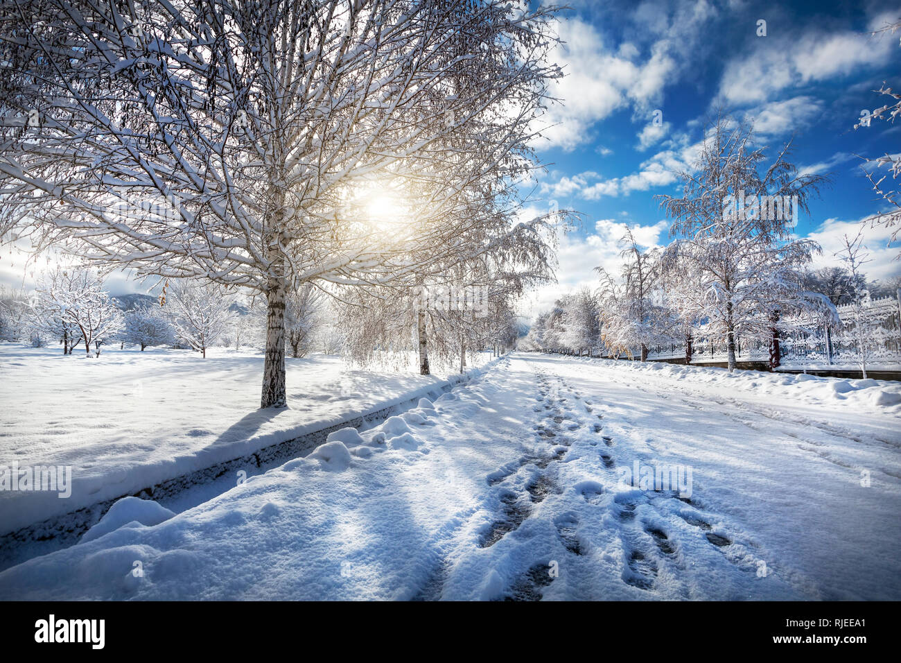 January scenery hi-res stock photography and images - Alamy