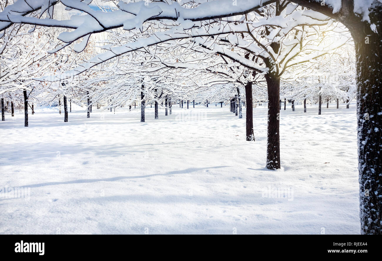 January scenery hi-res stock photography and images - Alamy