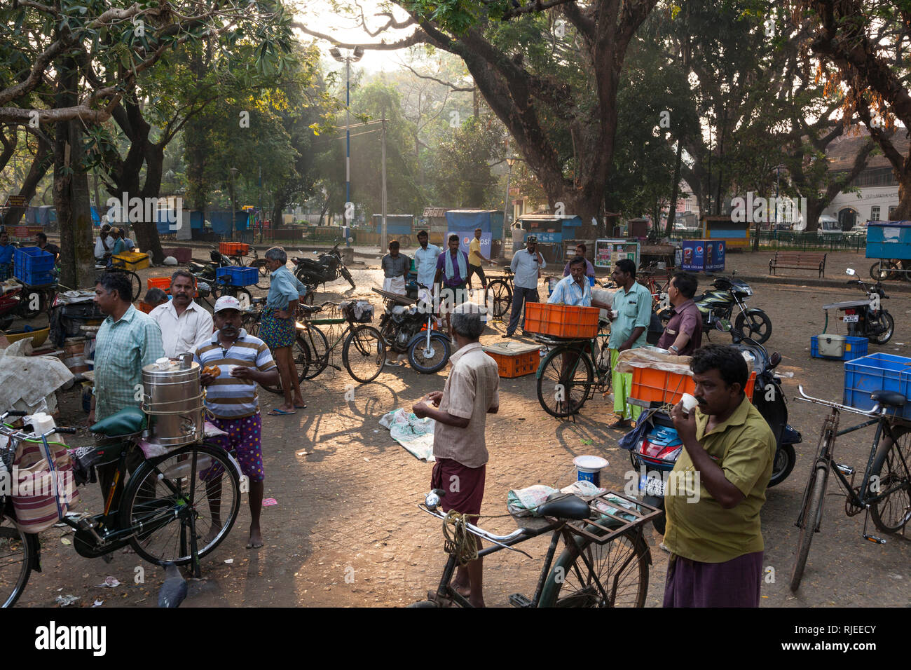 fishermen with their morning catch, Kochi, Kerala, India Stock Photo ...