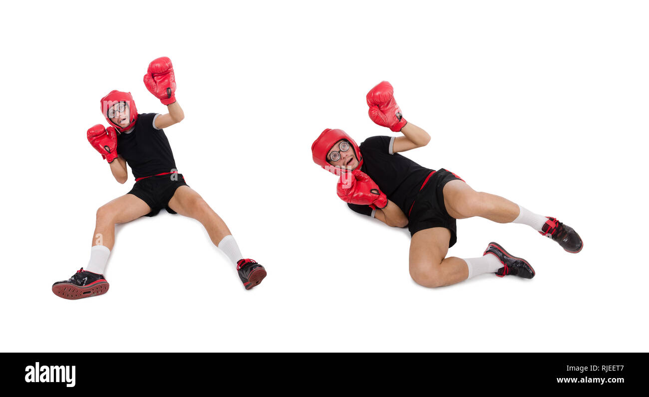 Funny boxer isolated on the white Stock Photo - Alamy