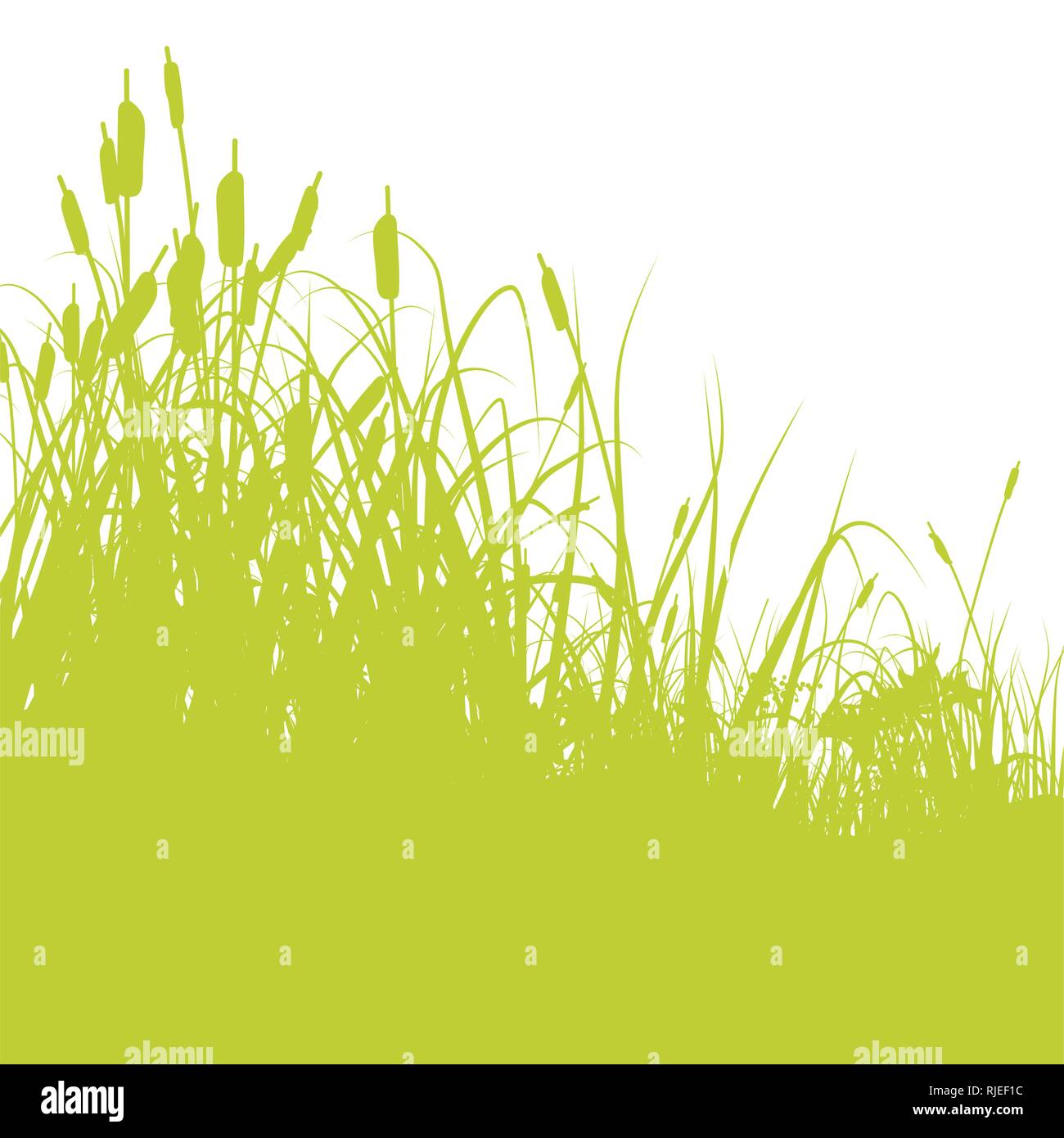 Green edge vector vectors Stock Vector Images - Alamy