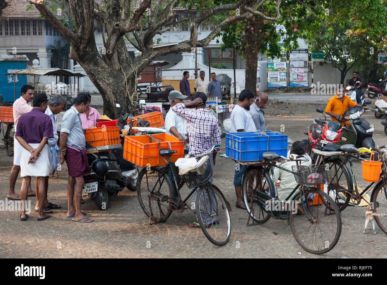 fishermen with their morning catch, Kochi, Kerala, India Stock Photo ...