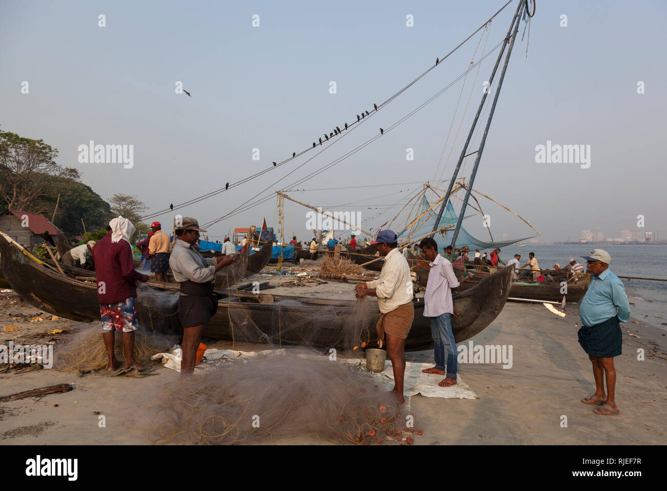 fishermen with their morning catch, Kochi, Kerala, India Stock Photo ...