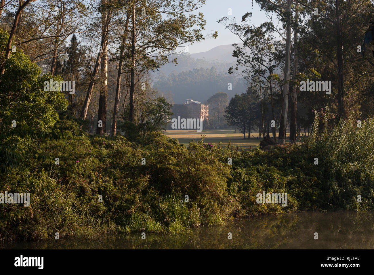 Munnar, Kerala, India Stock Photo - Alamy