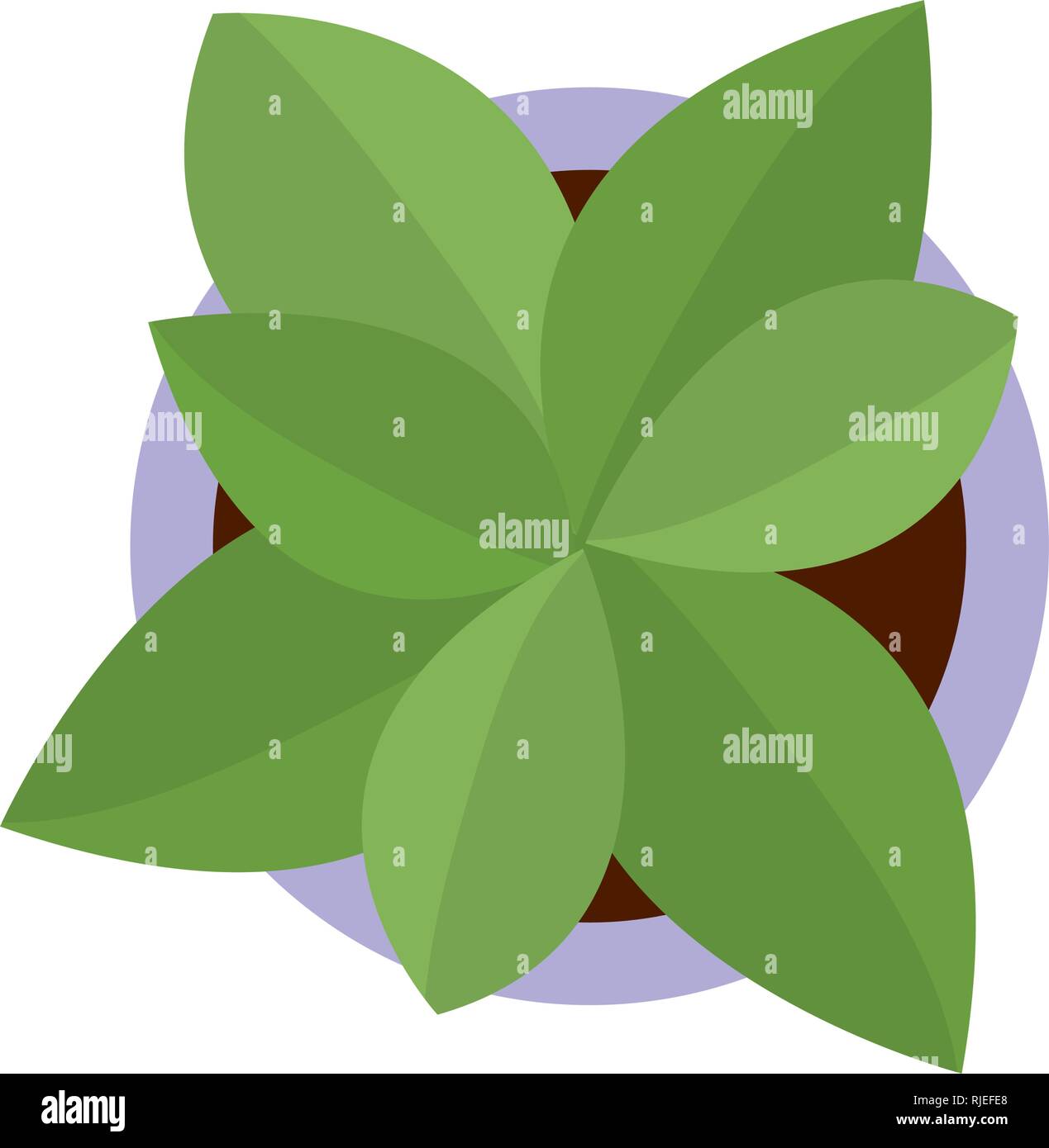 plant pot cartoon Stock Vector Image & Art - Alamy