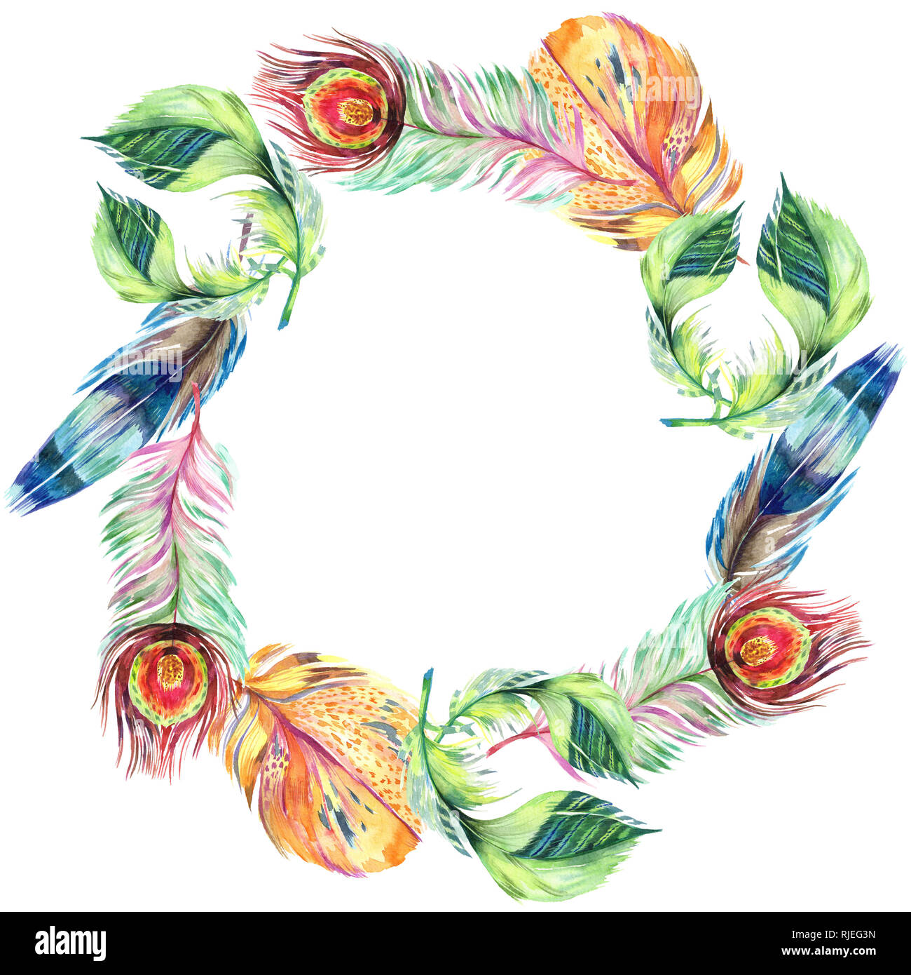 Colorful bird feather from wing isolated. Aquarelle feather for frame ...