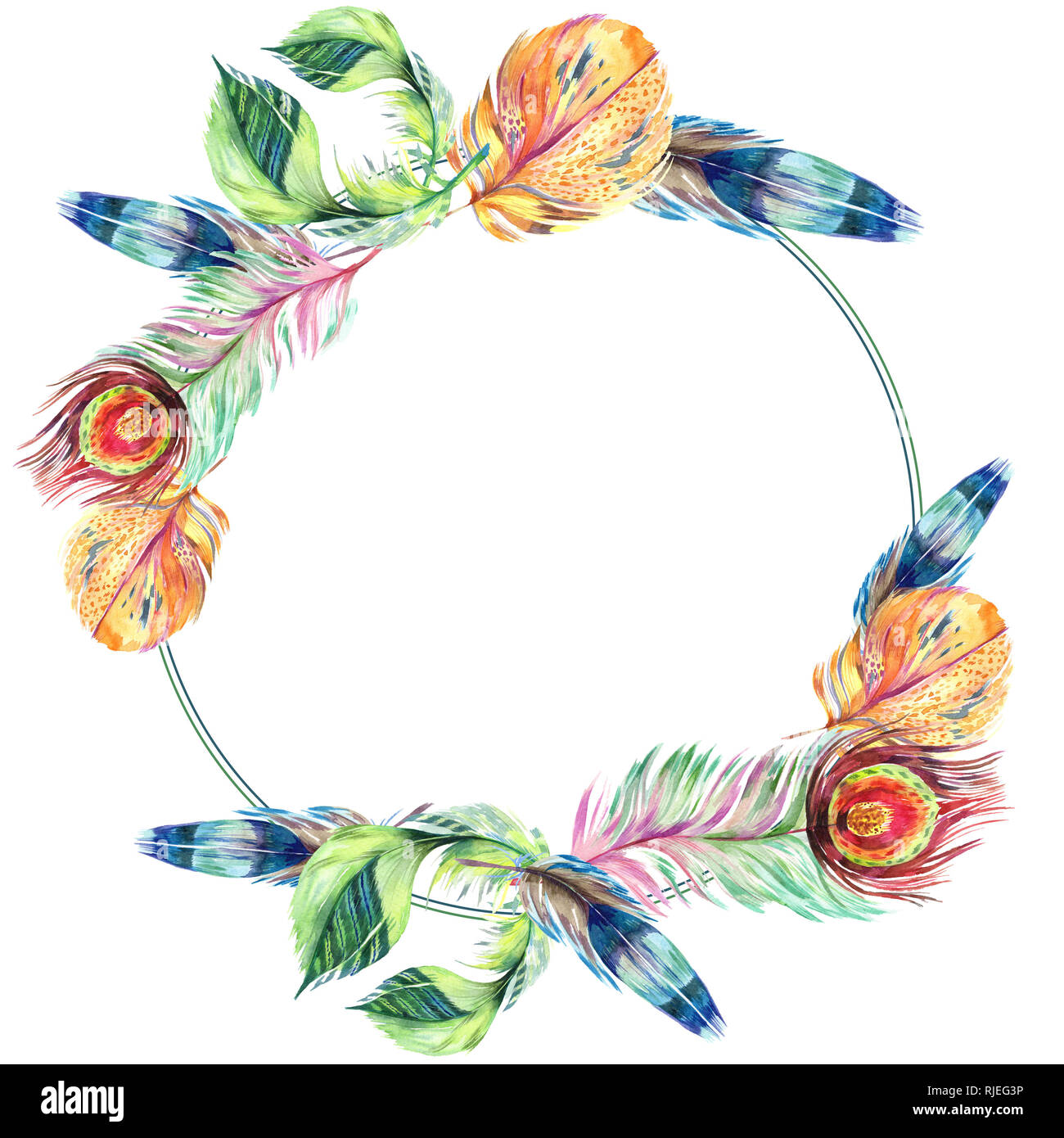 Colorful bird feather from wing isolated. Aquarelle feather for frame ...