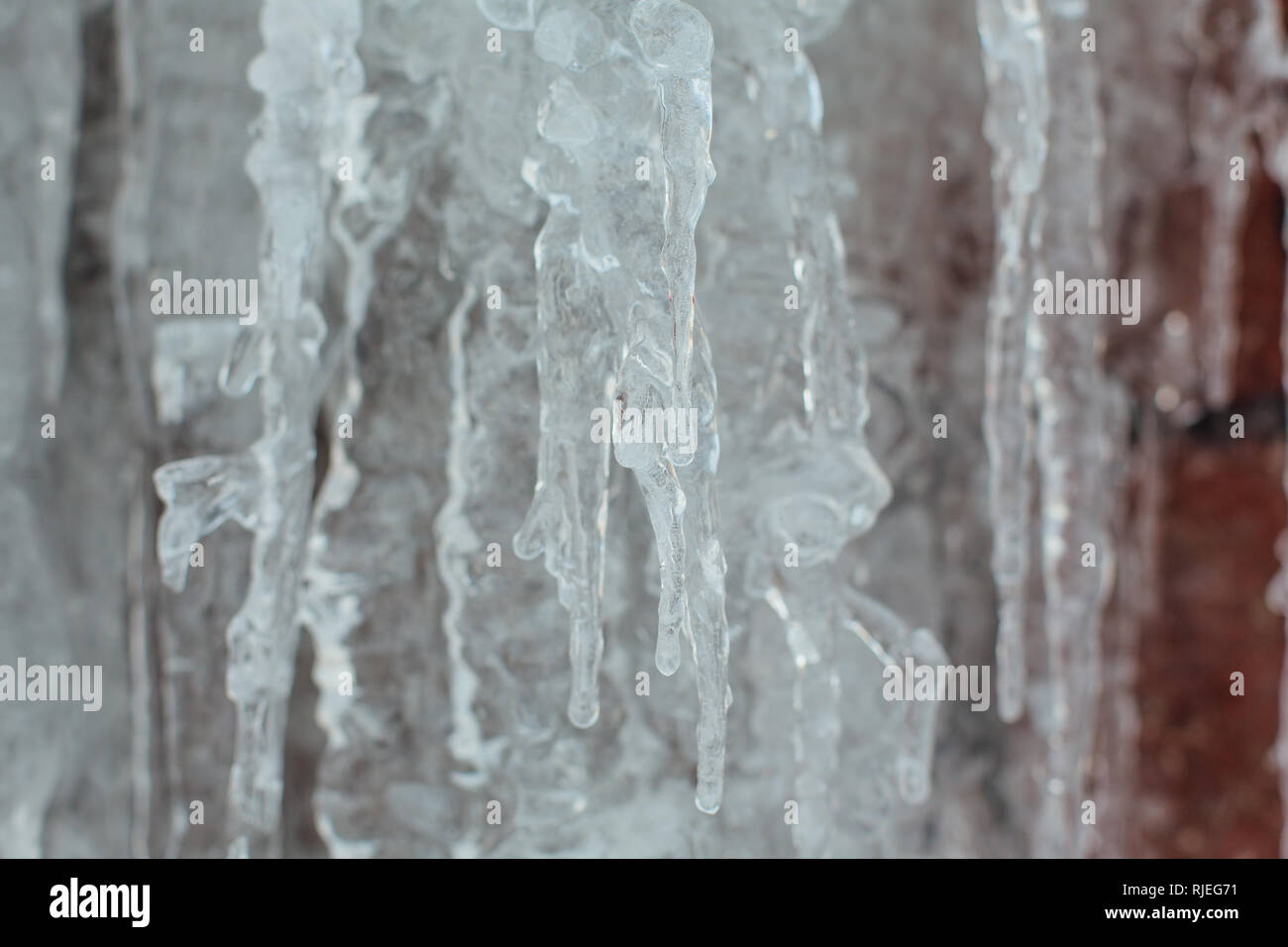 Very large and dangerous icicles close up in winter Stock Photo - Alamy