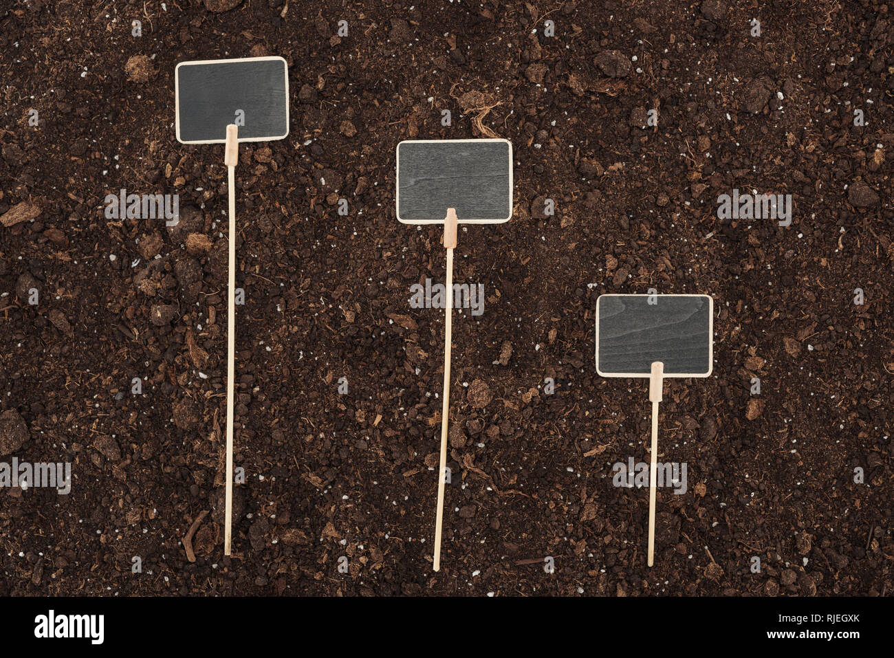 Blank placards hi-res stock photography and images - Alamy