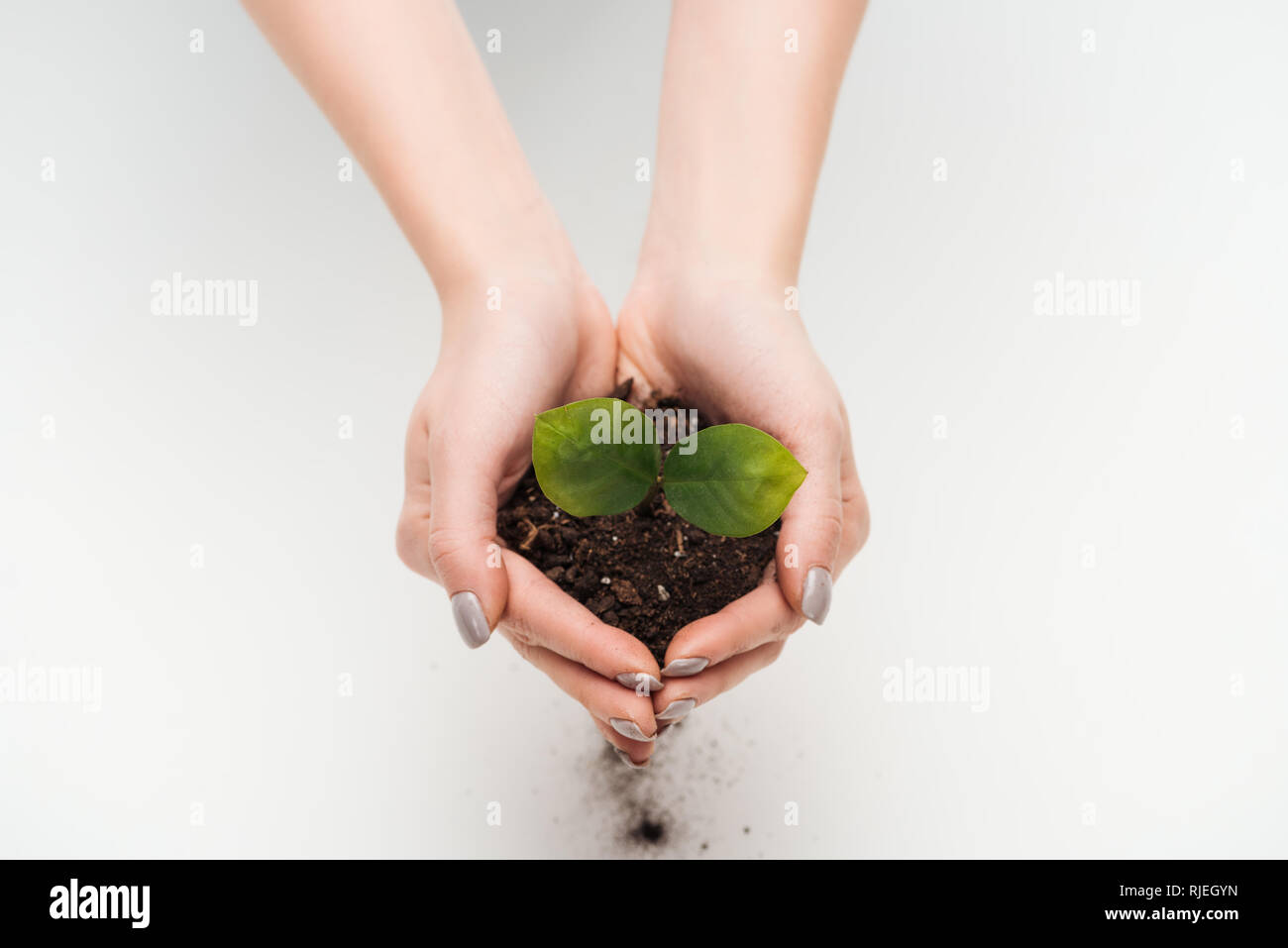 Cropped view woman saving hi-res stock photography and images - Alamy